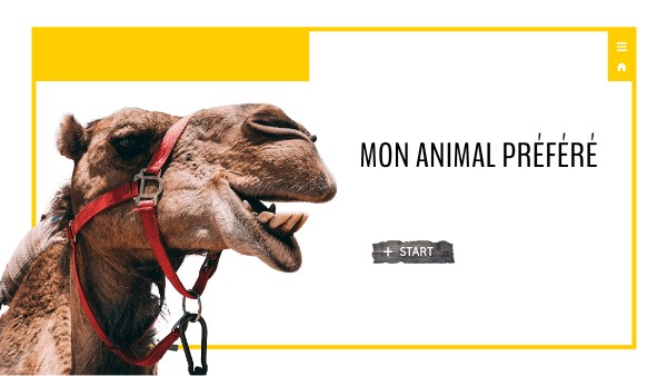 PRESENTACIÓN ANIMALES