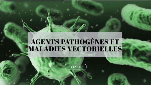 Agents pathogènes et maladies vectorielles 2nde | Genially