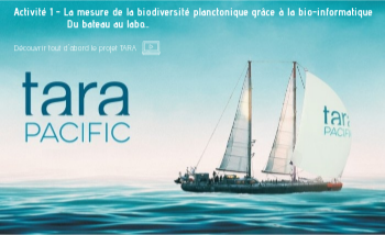 TARA expedition Biodiversité | Genially