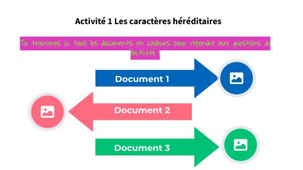 Définir Caractère Héréditaire | La transmission des caractères ...