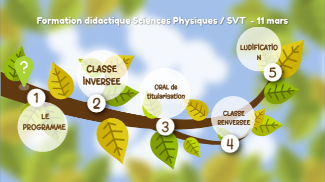 DIdactique SVT Tours 11 mars | Genially