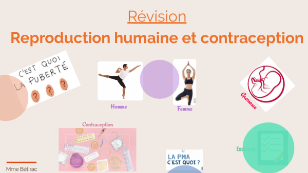 Révision : reproduction humaine et contraception | Genially
