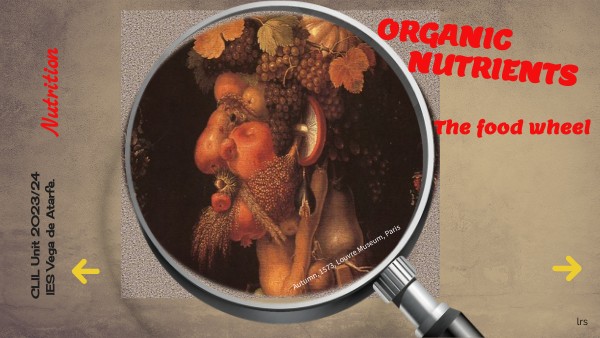 Organic Nutrients: The Food Wheel