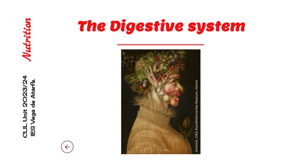 Digestive System | Genially