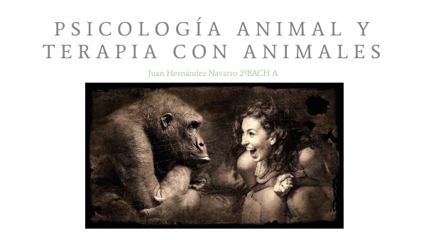 PSICOLOGÍA ANIMAL Y TERAPIA CON ANIMALES | Genially
