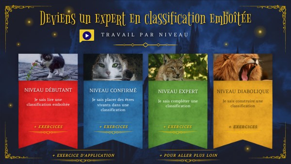 6e-Chap3-Classification emboitée par niveau | Genially