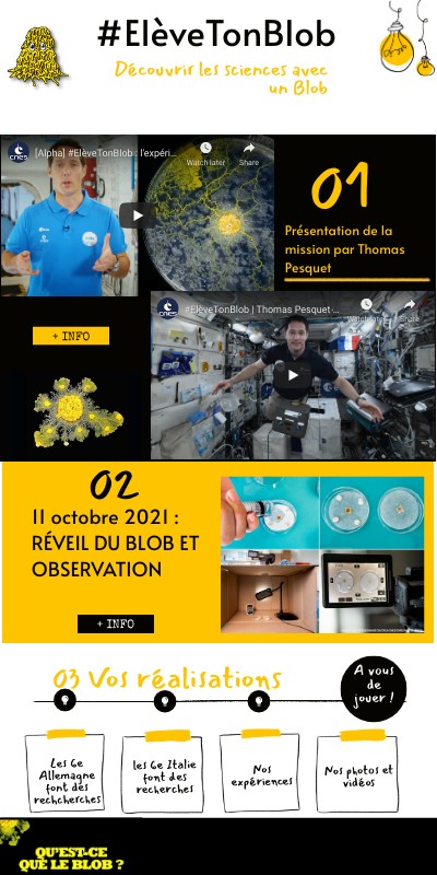 Projet blob 2021 | Genially
