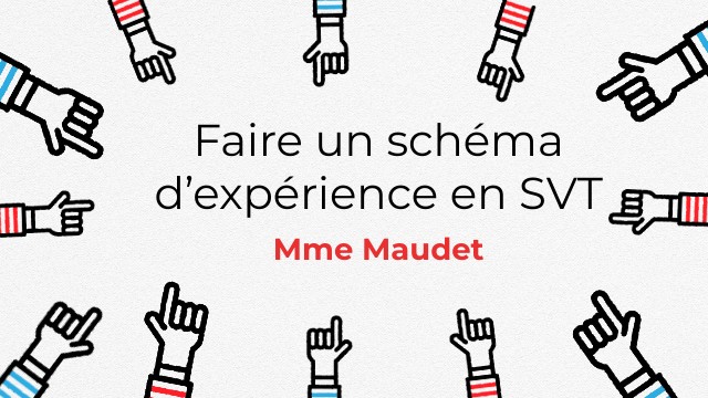 Le schéma d'expérience en SVT | Genially