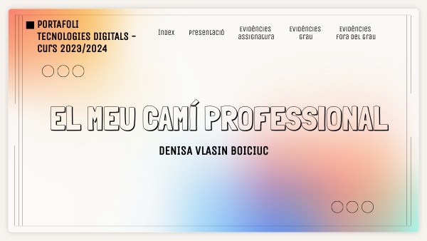 PORTAFOLIS - Denisa Vlasin