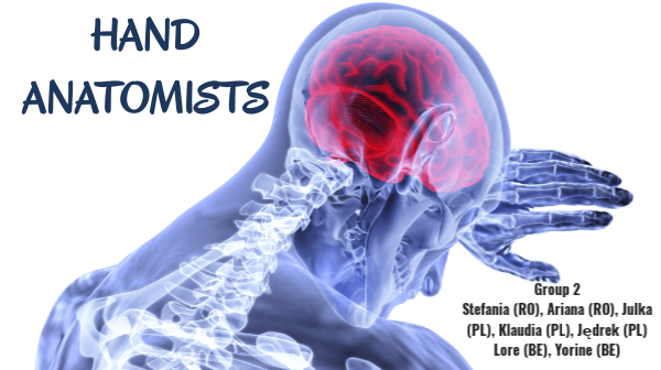 Hand anatomists (Group 2)