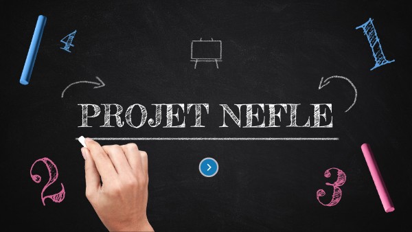 Projet NEFLE