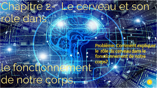 Le cerveau et son rôle dans le fonctionnement de notre corps | Genially