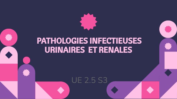 UE 2.5 S3 les pathologies infectieuses urinaires et rénales
