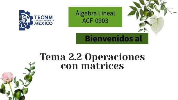 Tema 2.2 Operaciones con matrices | Genially