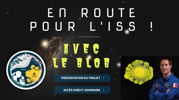 Projet BLOB | Genially