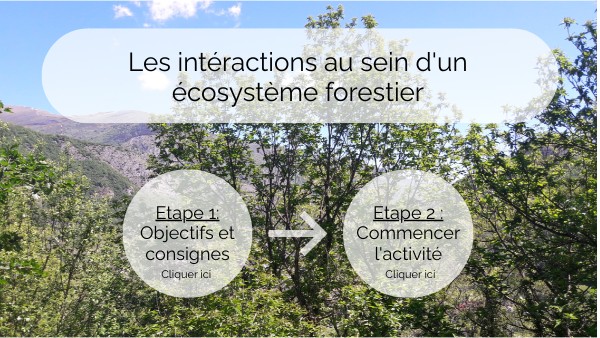 1èreF Intéractions au sein d'un écosystème forestier | Genially