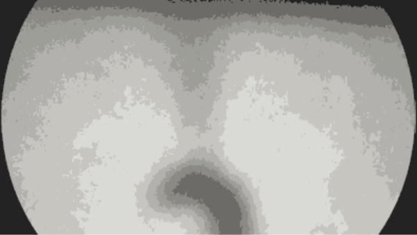 Brevet - Alice Guy | Genially