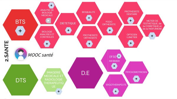 Copie - ORIENTATION POST BAC ST2S