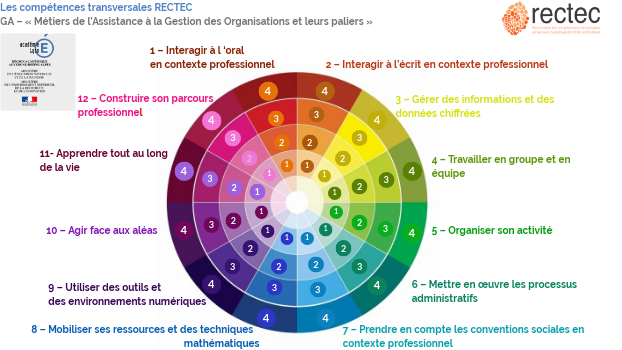Carte des COMPETENCES TRANSVERSALES AEFA | Genially