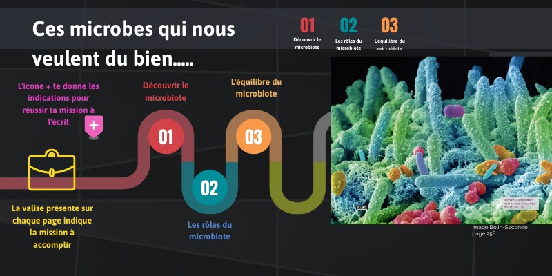 Le microbiote humain (seconde SVT)