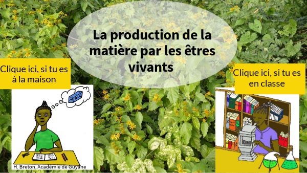 besoins des vivants apprentissage mixt