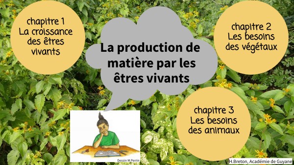besoins des vivants apprentissage hybride