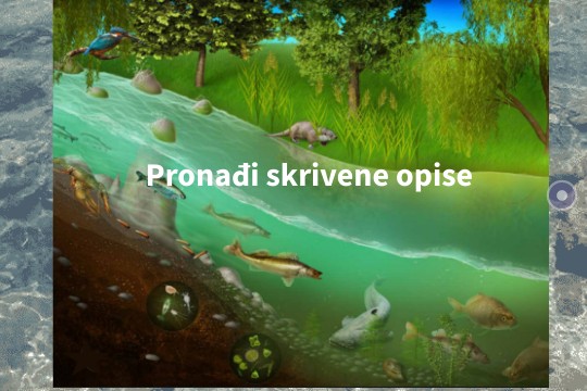 ŽIVOTNA ZAJEDNICA VODA TEKUĆICA | Genially