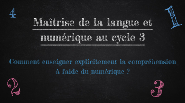 Anim MDL numérique - C. Pieussergues | Genially