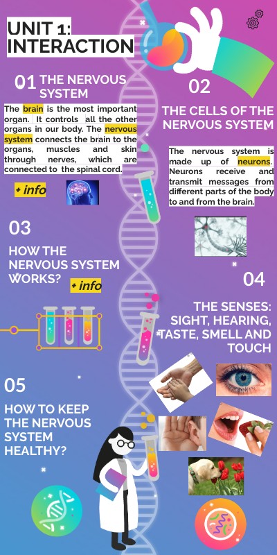 Unit 1: Interaction - alumnos | Genially