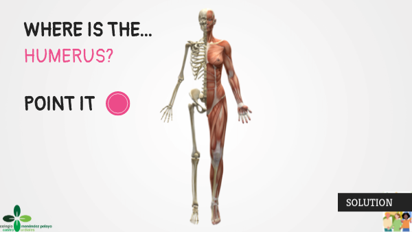 HUMAN BODY | Genially