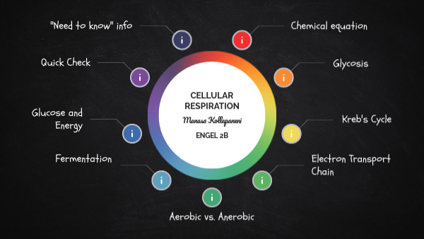 Cellular Respiration | Genially