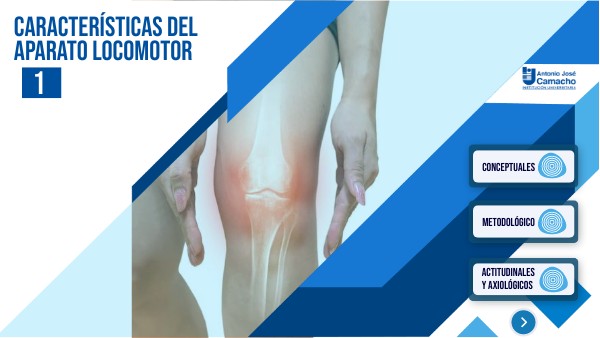 Anatomía Funcional. Unidad No.1 | Genially