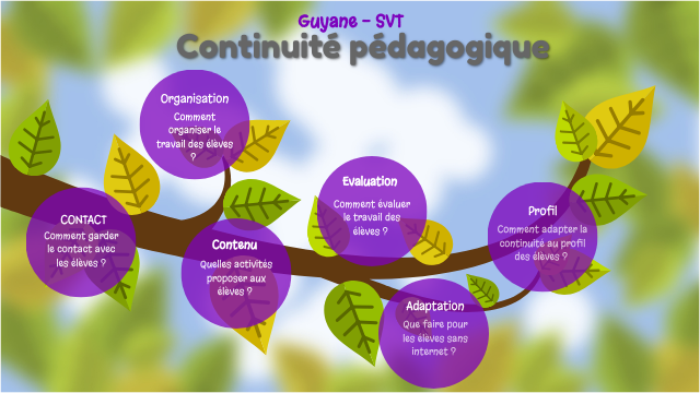 Continuité SVT Guyane | Genially