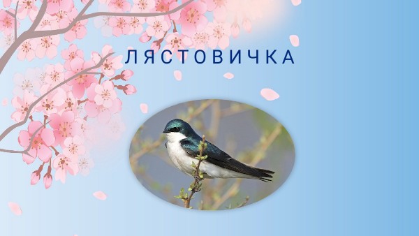Лястовичка