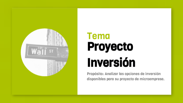 Proyecto de Inversión