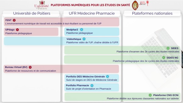 Les plateformes numériques