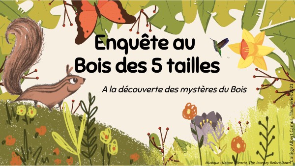 Cahier bilan élève sortie Bois des 5 tailles | Genially