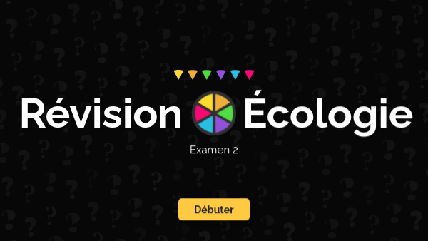 Révision examen 2 | Genially