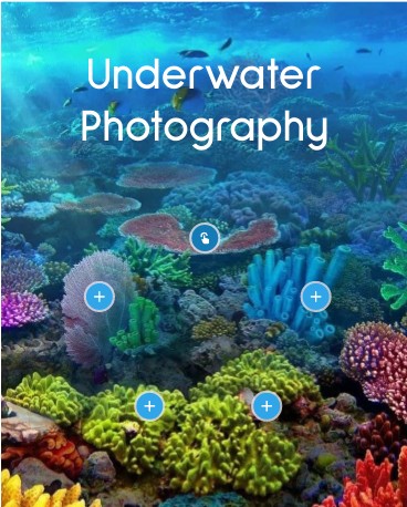 Underwater Photography Job Advertisement.