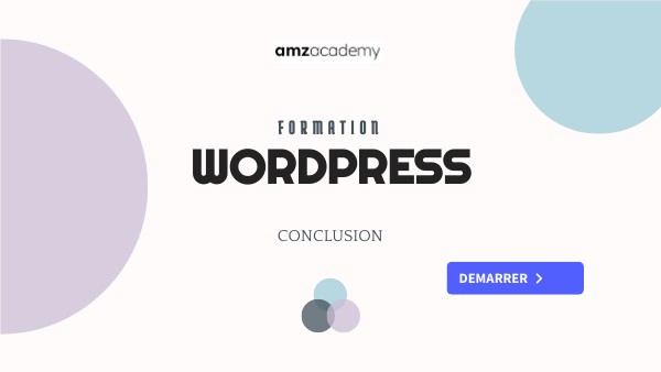 AMZ Conclusion Wordpress