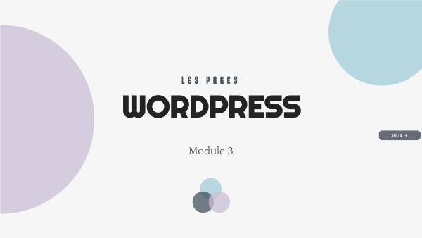 Wordpress Chap 3 Les pages