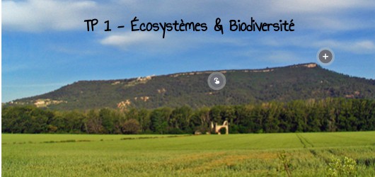 TP 1 - Ecosystème et biodiversité