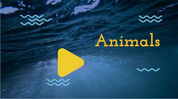 Animals 4º Padres | Genially