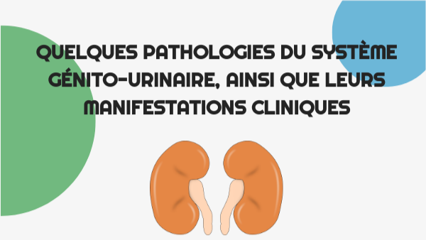 Pathologies système génito-urinaire | Genially