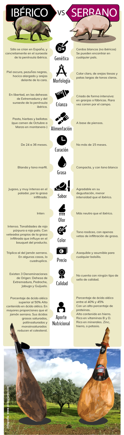 Jamón Ibérico vs Jamón Serrano | Genially