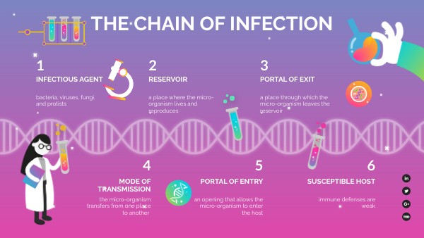 The chain of infection | Genially