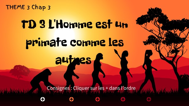 T E.S. T3C3 TD3 2023