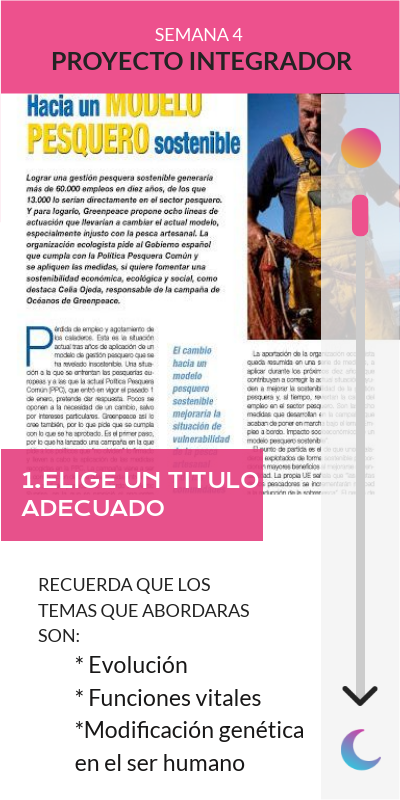 Proyecto integrador M16 | Genially