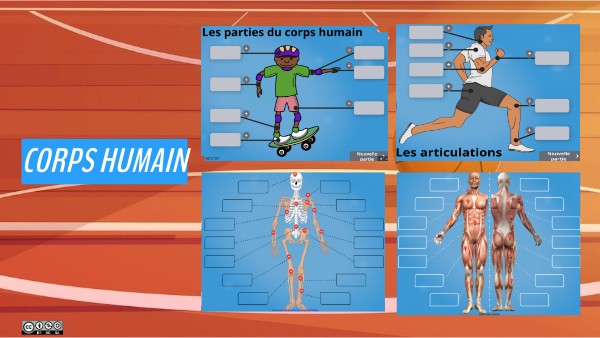 Corps humain | Genially