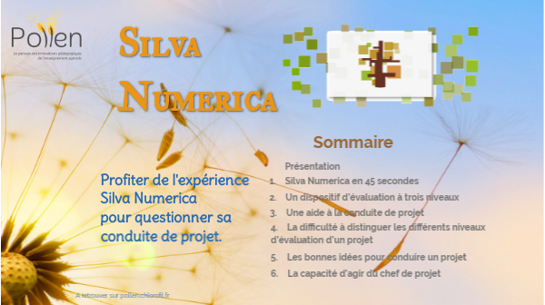 Silva Numerica Conduite de projet02_Modele_Pollen copie | Genially